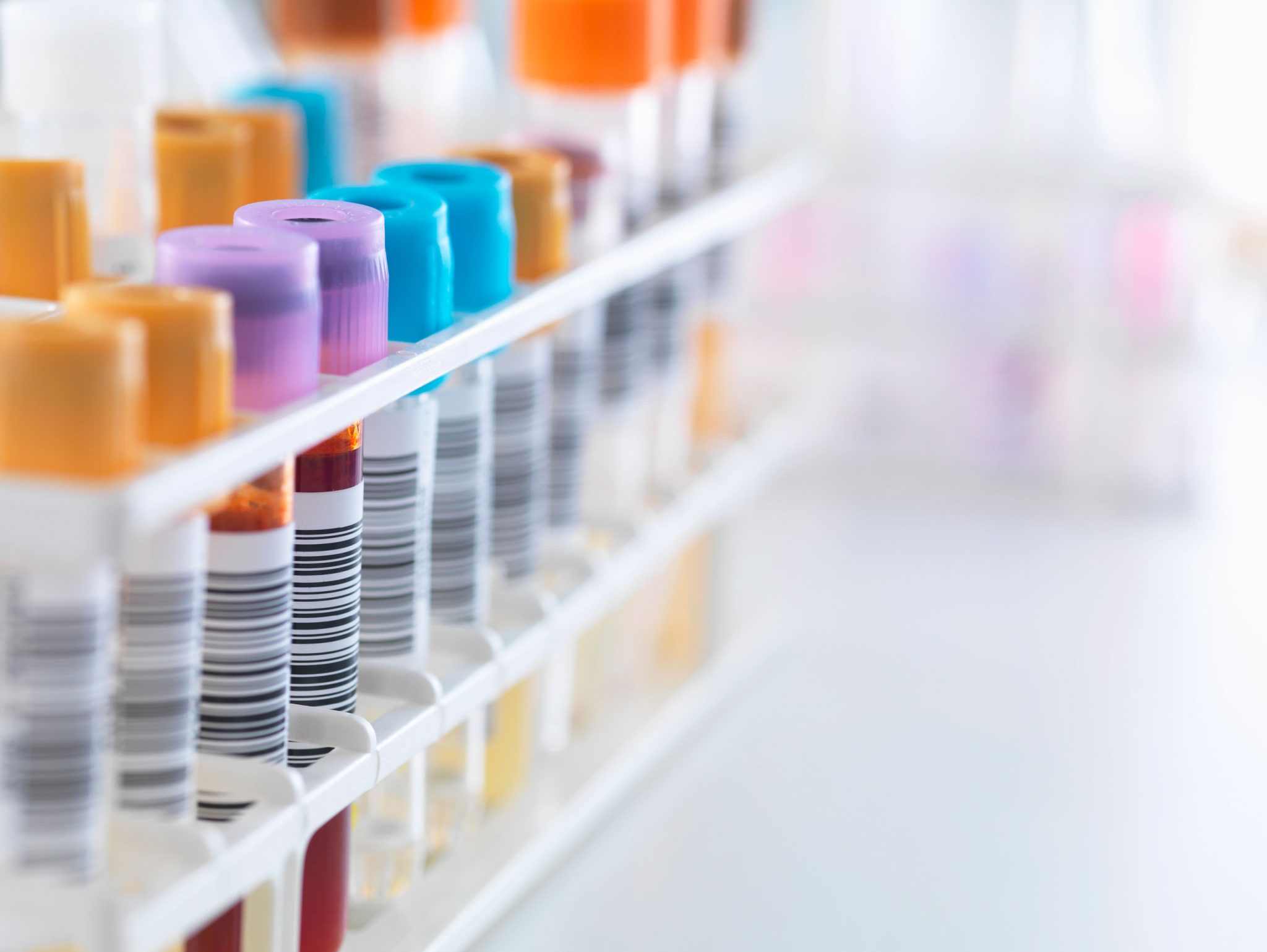 Homepage - Labor Berlin